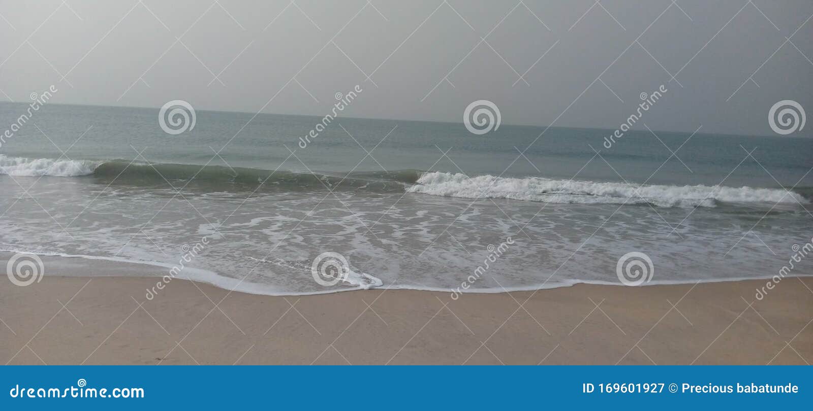 Sea wave into land stock image. Image of water, wave - 169601927