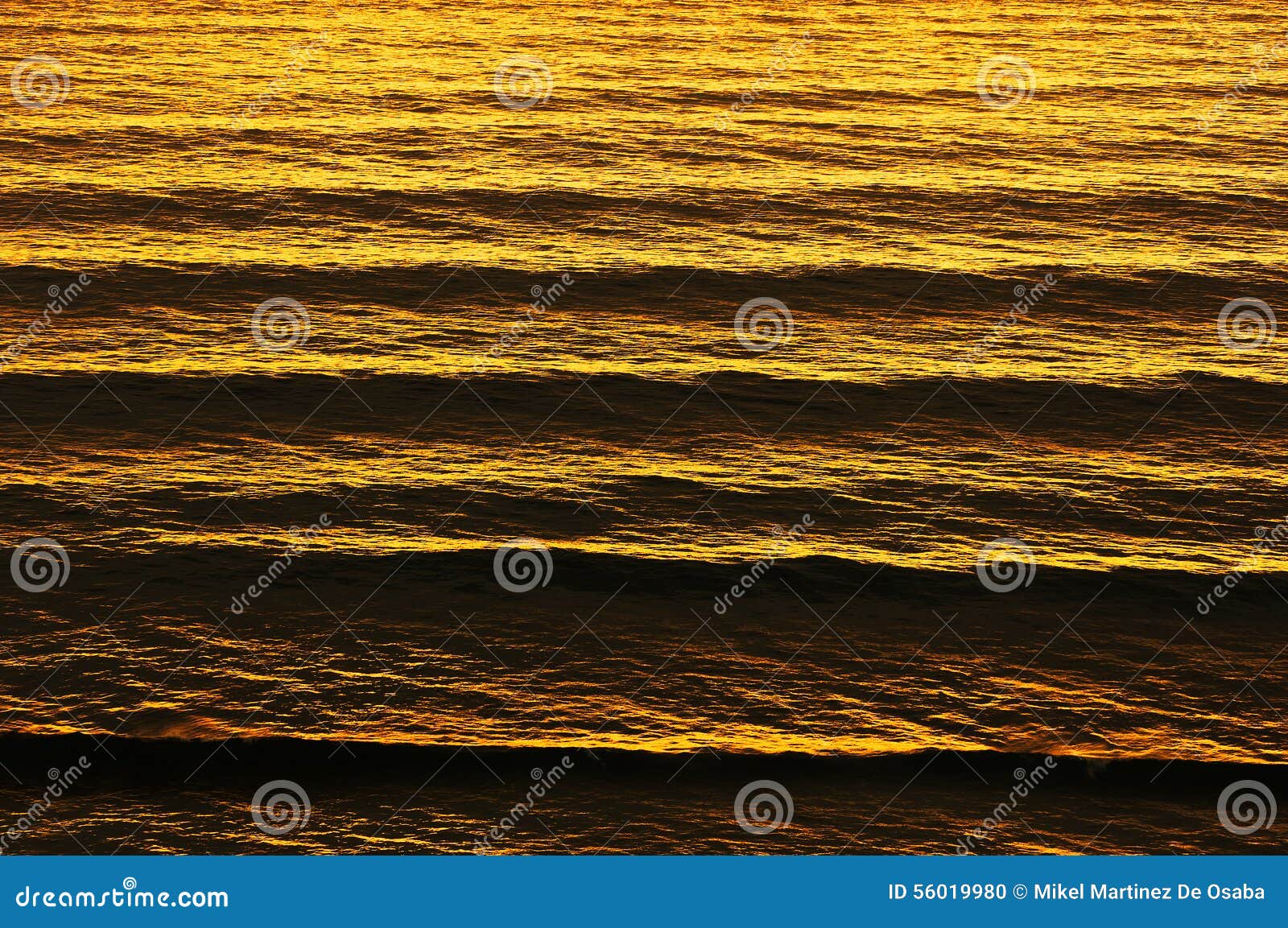 Sea wave ripples at sunset stock photo. Image of sunny - 56019980