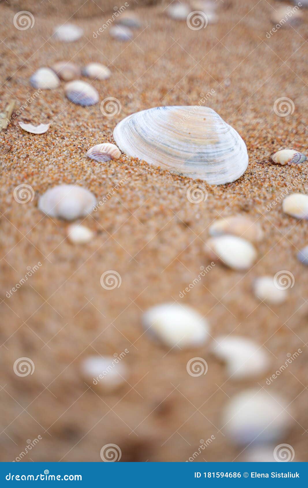 Sea Wave Running Towards the Coast from Small Shells in Skane, Sweden ...