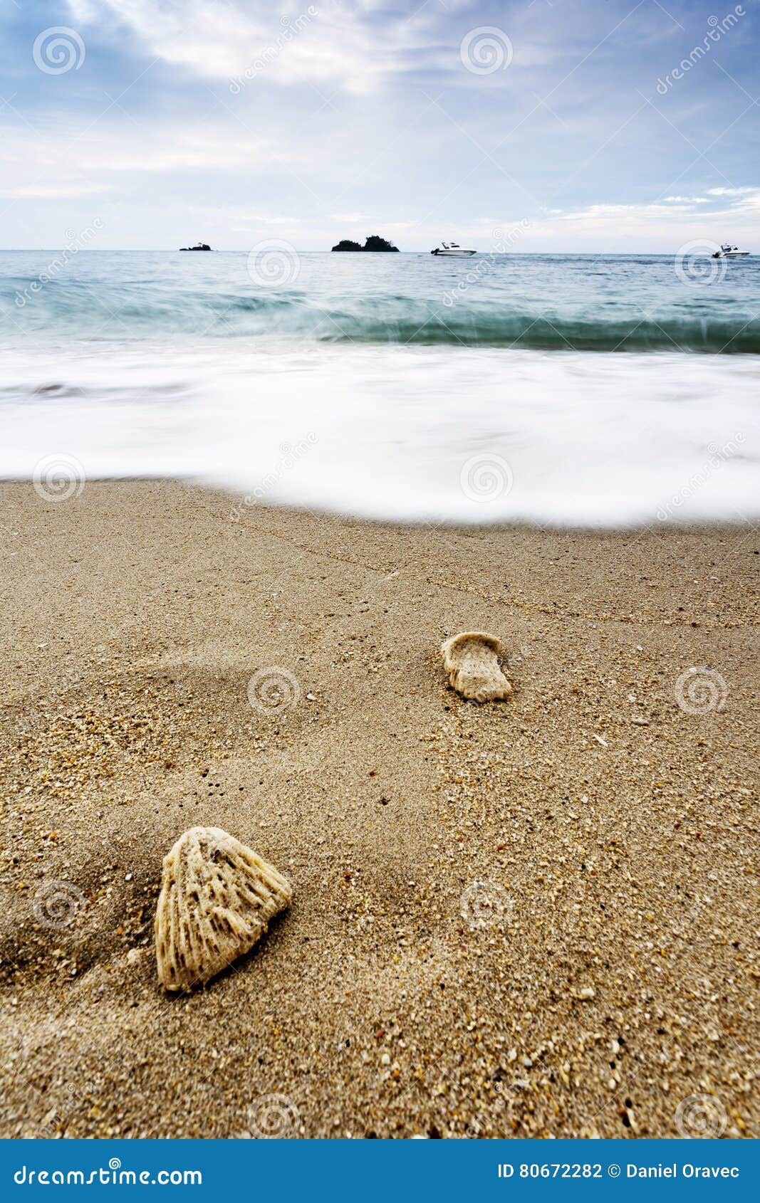 Sea with Wave and Shells on Sand Stock Photo - Image of ocean, holiday ...
