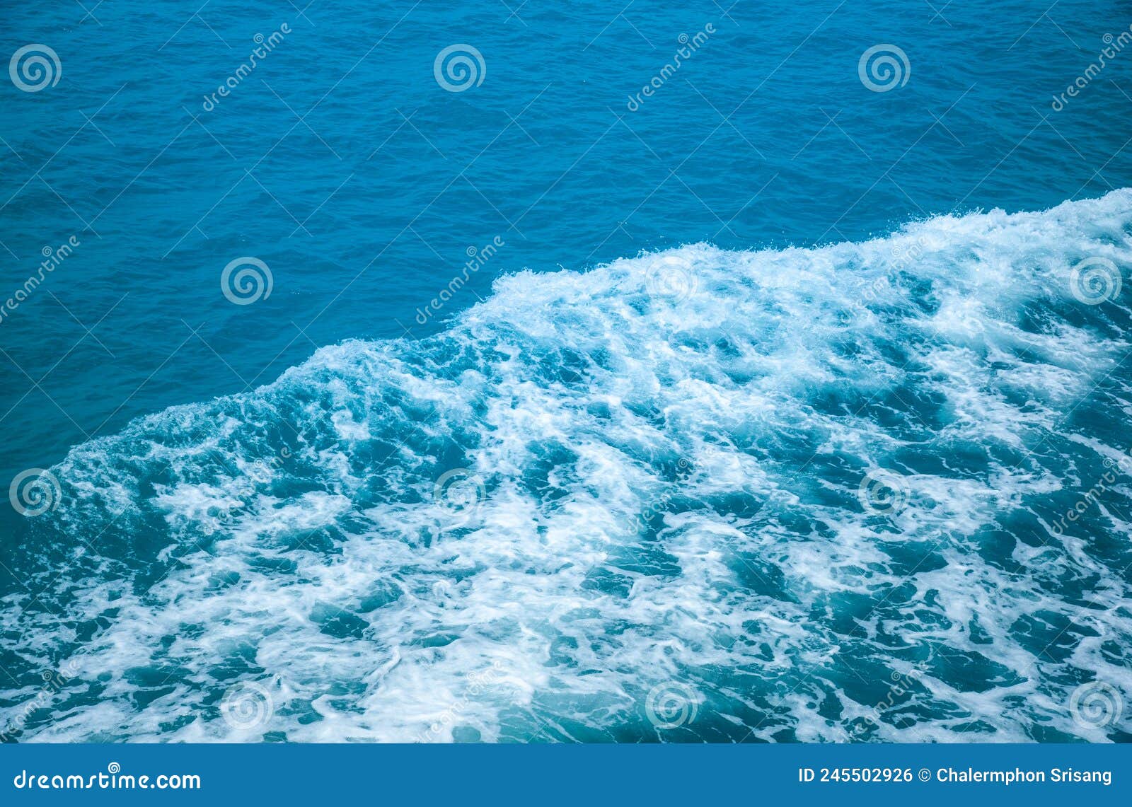 Sea Wave Sponge Salt Water Naturesea Wave Sponge Salt Water Naturesea ...