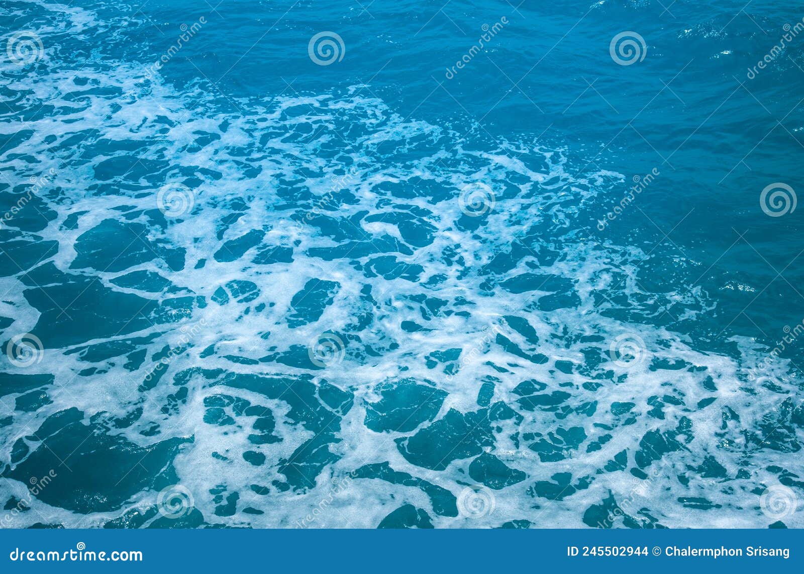 Sea Wave Sponge Salt Water Naturesea Wave Sponge Salt Water Nature ...