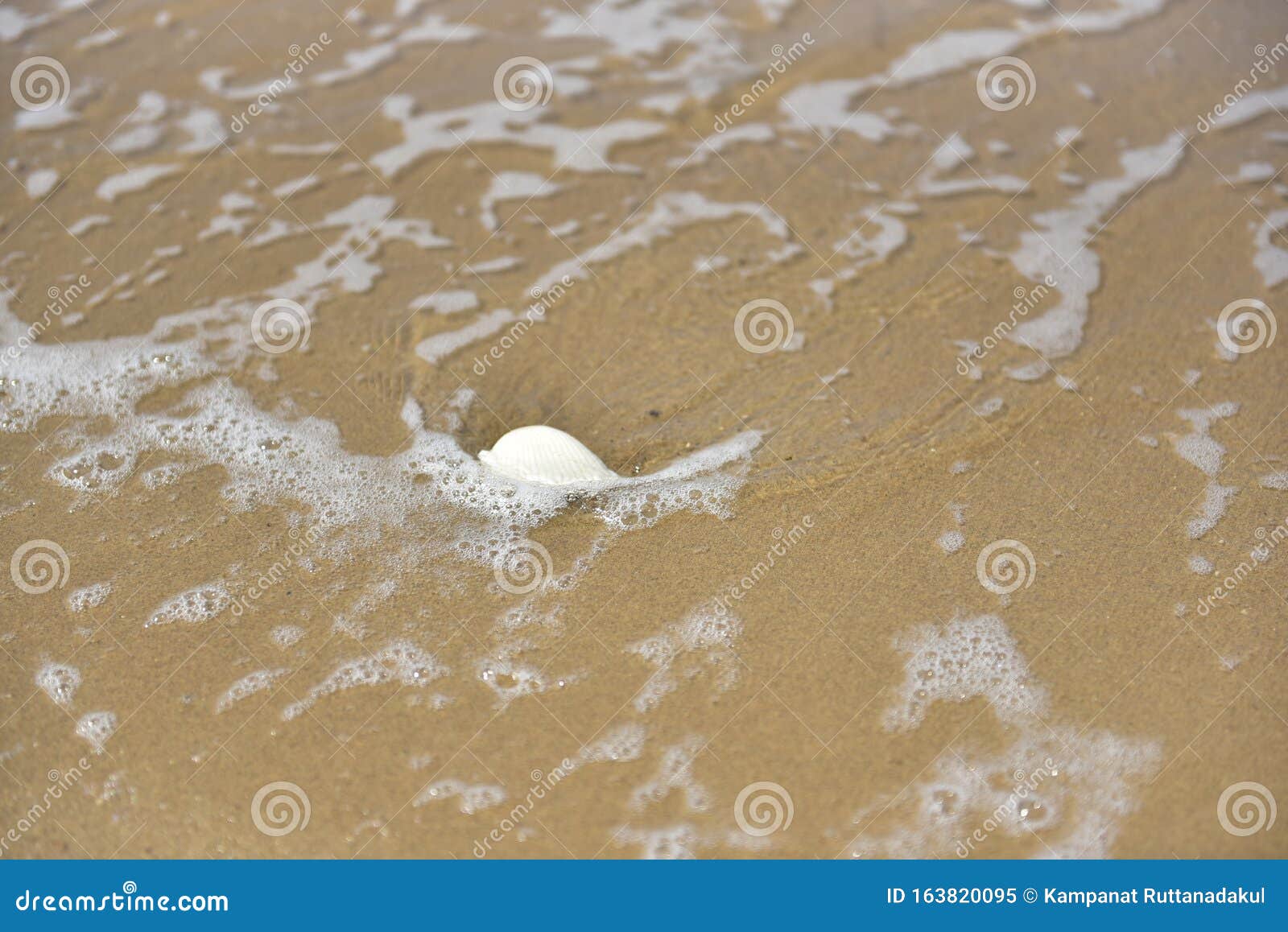 Sea Waves Blowing Shells at the Beach Stock Image - Image of waves ...