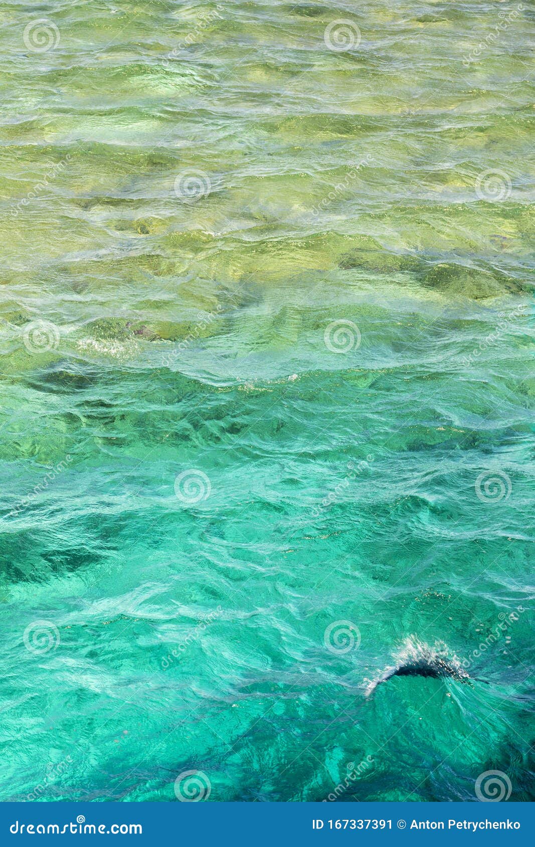 Sea Waves. Blue Water for Background. Emerald-colored Sea Water Stock ...