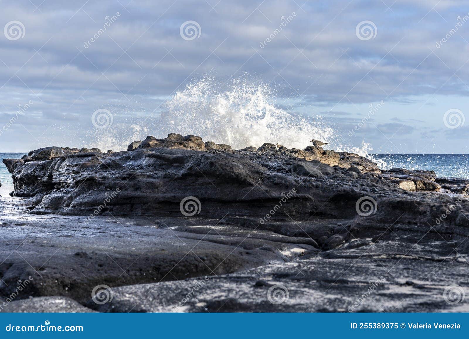 Sea Waves Hitting Rocks at the Beach Stock Image - Image of crash ...
