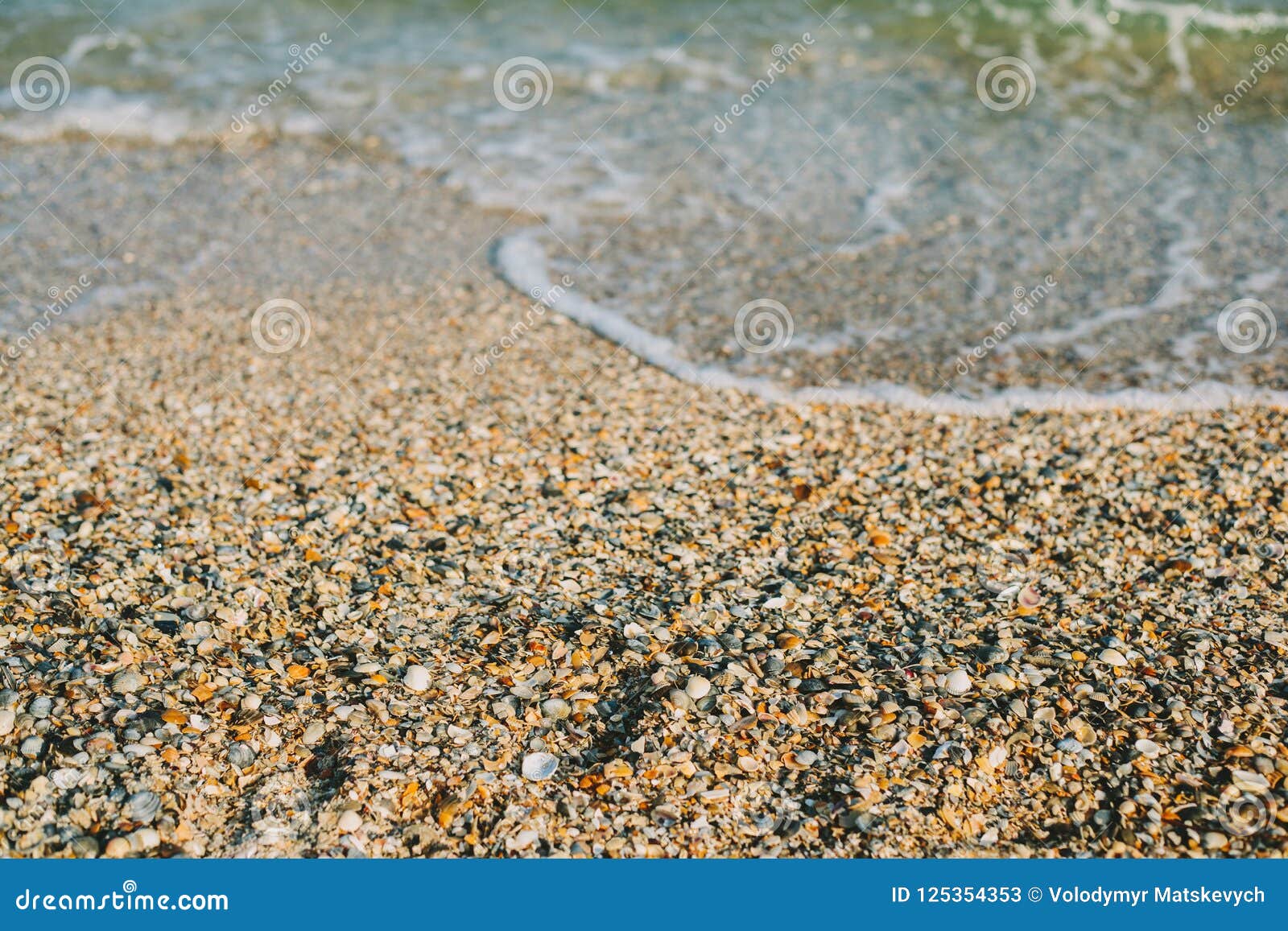 Sea Waves Washed Clean Beach Made of Shells Stock Image - Image of ...