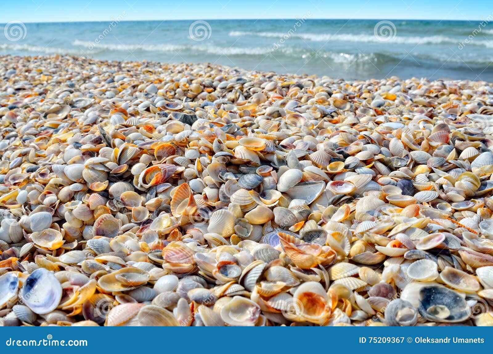 Sea Waves Washed Clean Beach Made Of Shells. Stock Photography ...