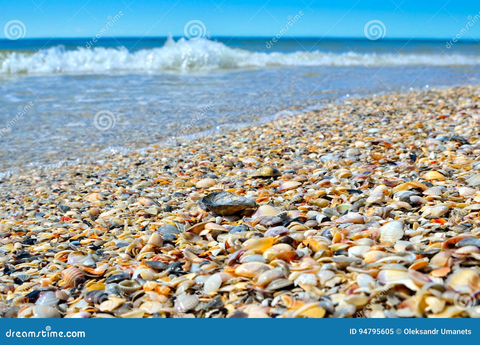 Sea Waves Washed Clean Beach Made of Shells. Landscape on a Wild Beach ...