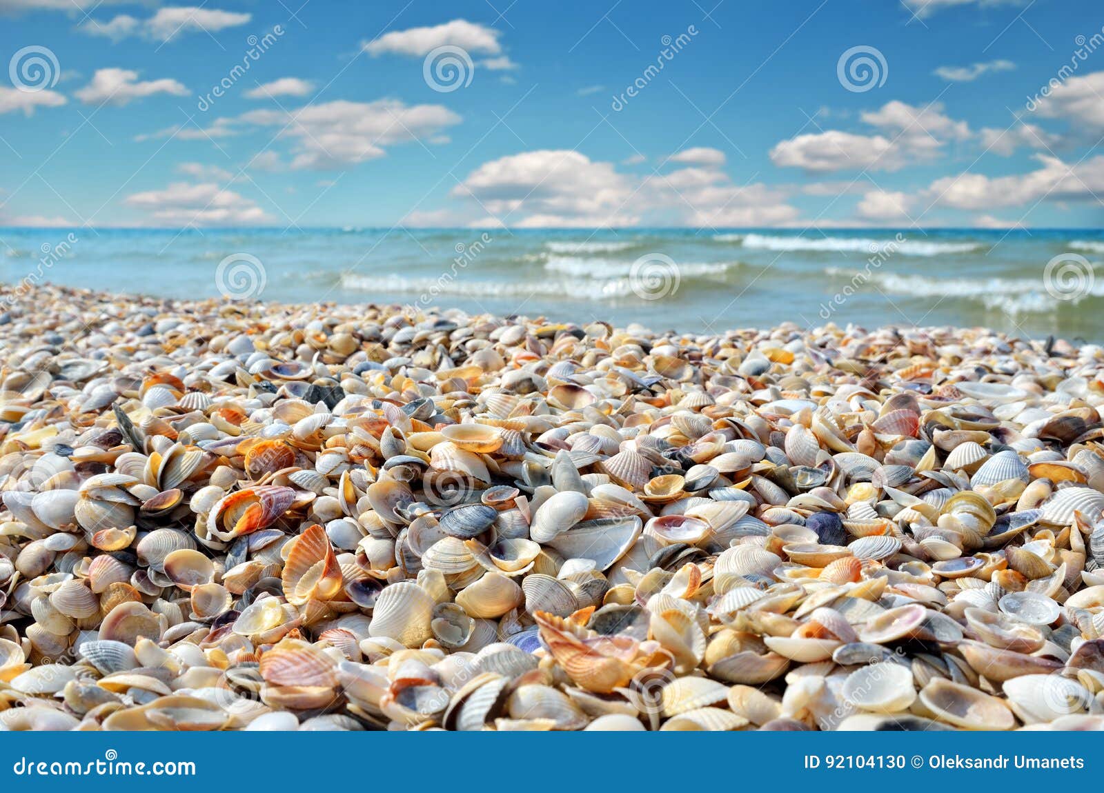 Sea Waves Washed Clean Beach Made of Shells. Stock Photo - Image of ...