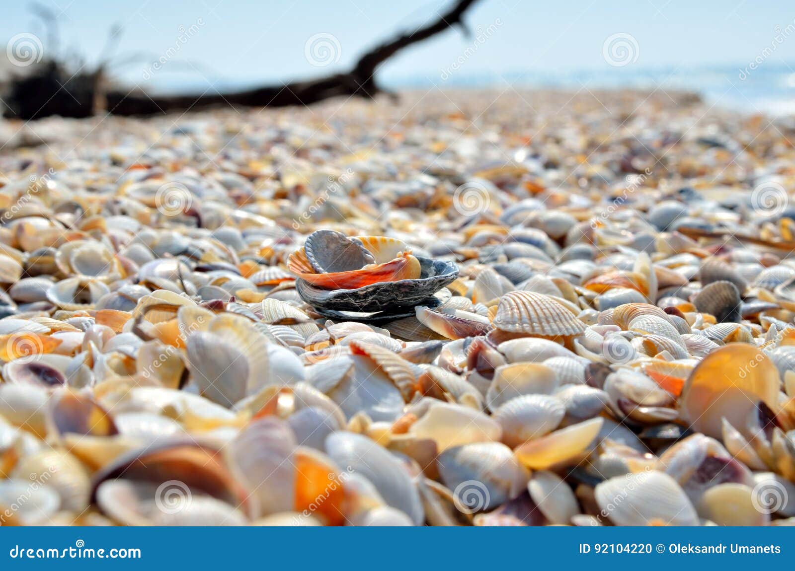 Sea Waves Washed Clean Beach Made Of Shells. Stock Photography ...