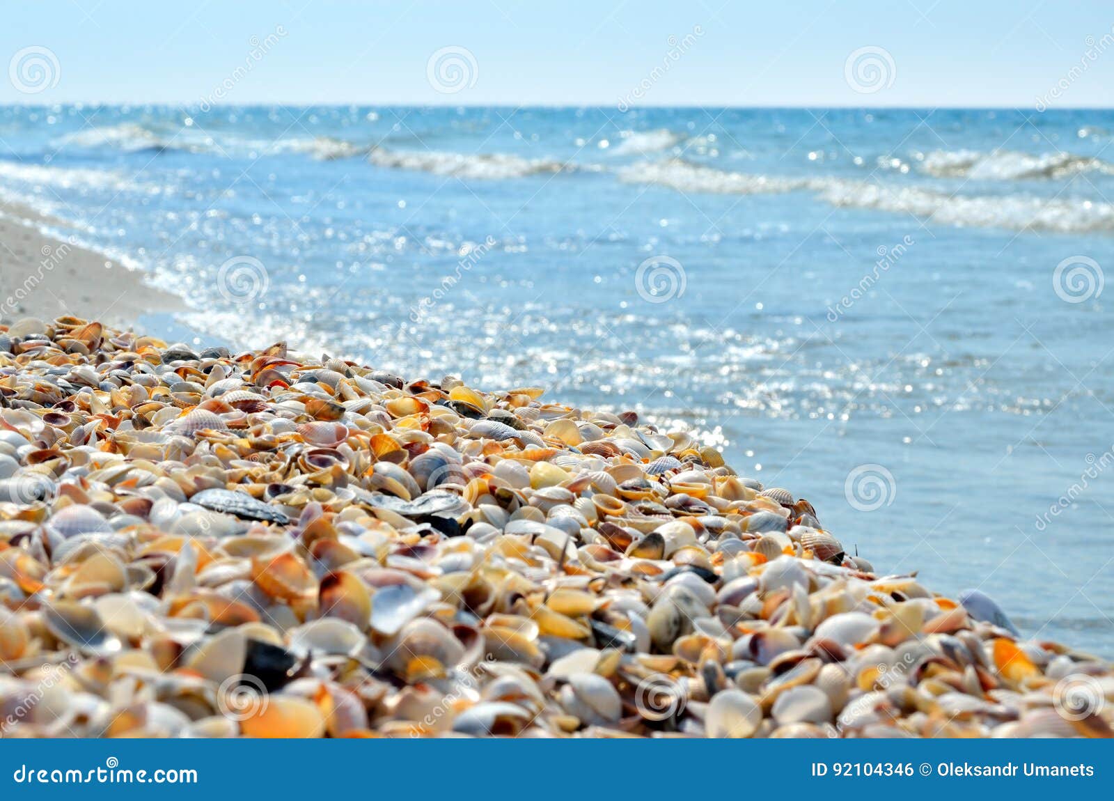 Sea Waves Washed Clean Beach Made of Shells. Stock Photo - Image of ...