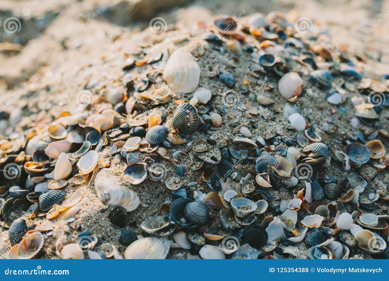 Sea Waves Washed Clean Beach Made of Shells. Stock Photo - Image of ...