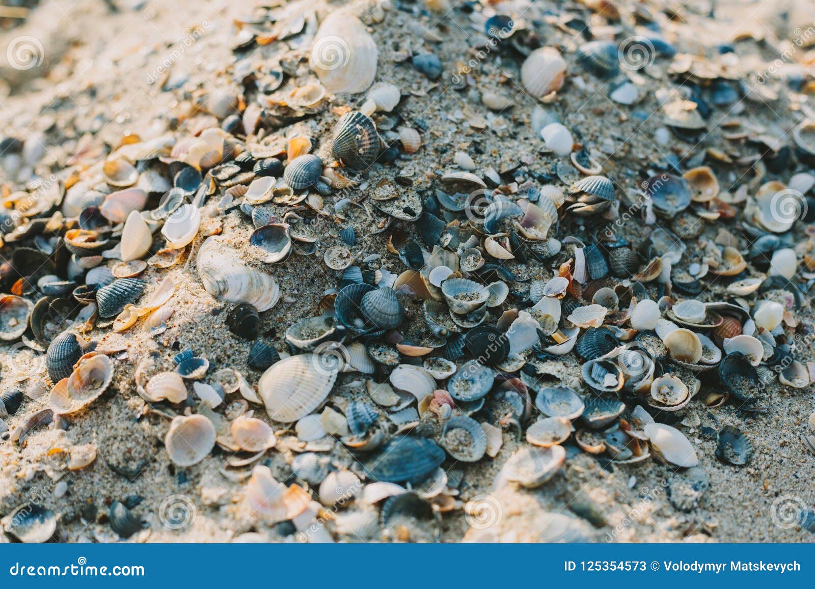 Sea Waves Washed Clean Beach Made of Shells. Stock Image - Image of ...