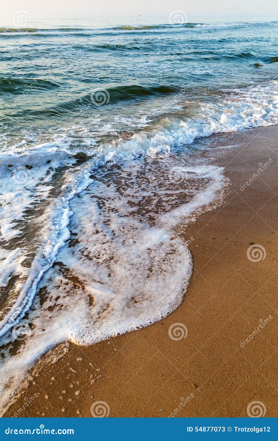 Sea Waves in the White Foam on the Sandy Beach. Dawn Stock Image ...