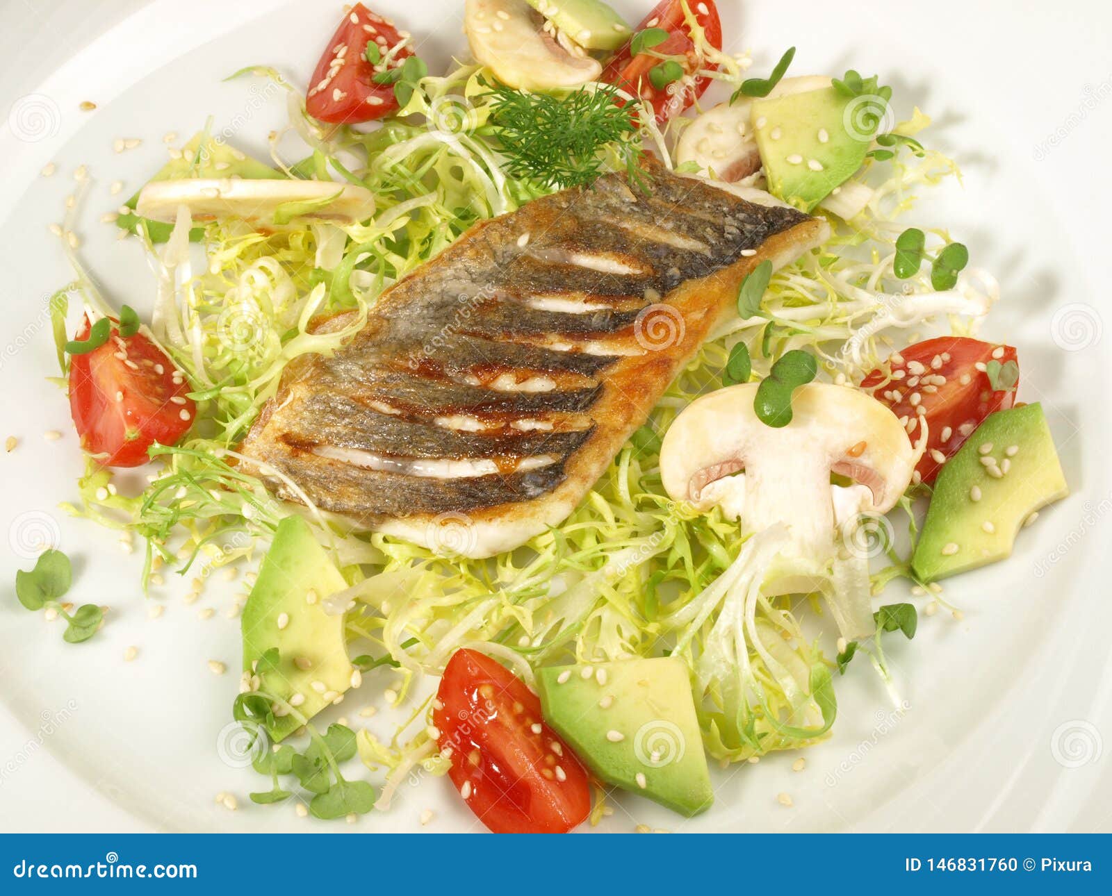 Sea Wolf - Fish Fillet with Salad Stock Photo - Image of isolated ...