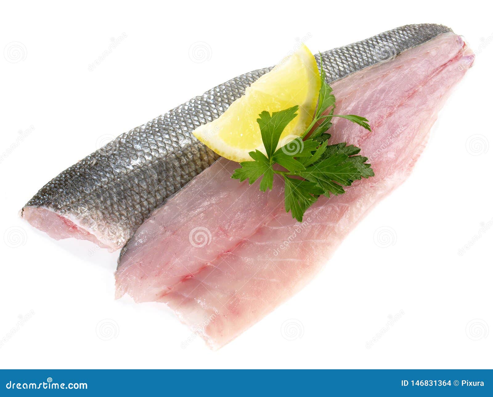 Sea Wolf - Fish Fillet stock photo. Image of ocean, loin - 146831364