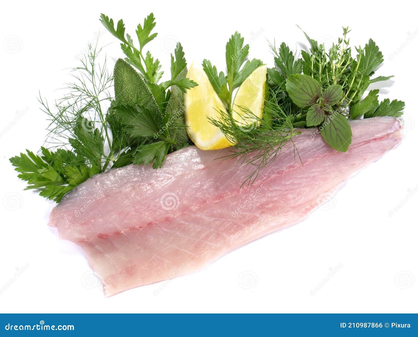 Sea Wolf - Fish Fillet with Herbs Isolated Stock Photo - Image of ocean ...