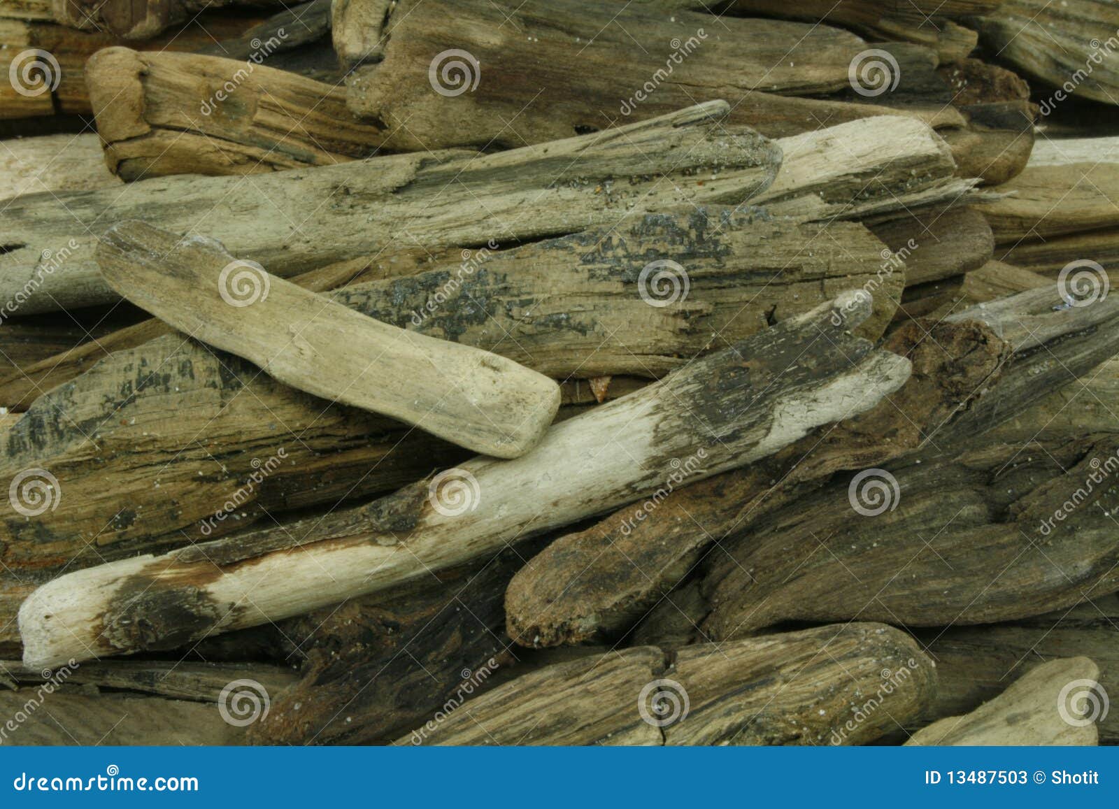 Sea wood stock image. Image of details, wood, collection - 13487503