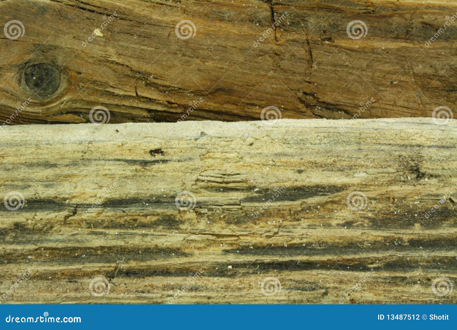 Sea wood stock photo. Image of weather, texture, beach - 13487512