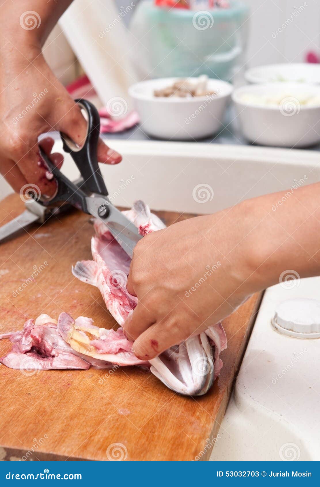 Seabass fish being cleaned stock image. Image of kitchen - 53032703