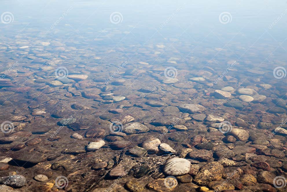 Seabed stock image. Image of background, ecology, ripple - 19438093