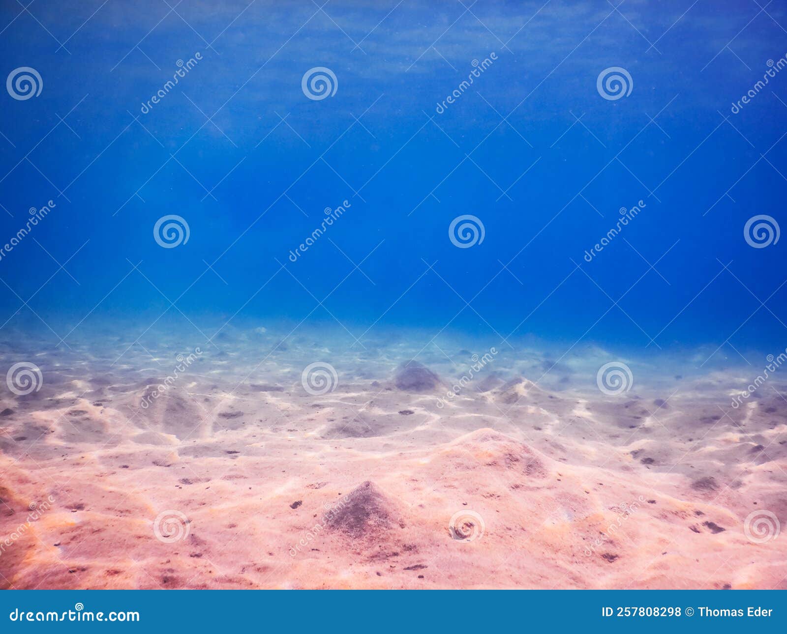Seabed Landscape with Deep Blue Water while Diving in the Morning Stock ...