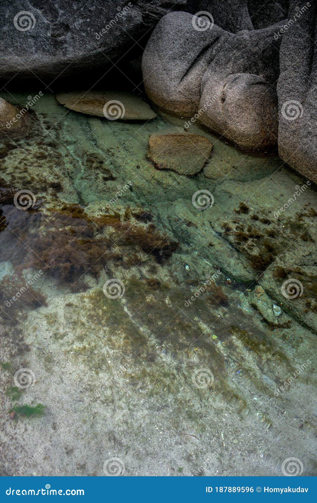 Seabed with large stones stock photo. Image of reptile - 187889596