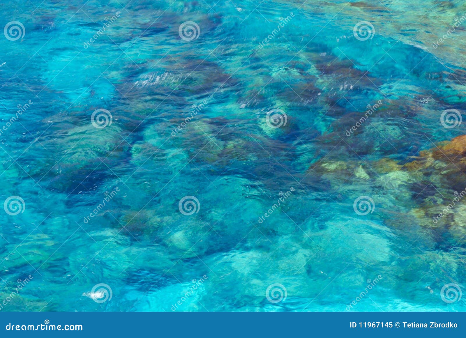 Seabed with light stock image. Image of view, sunlight - 11967145