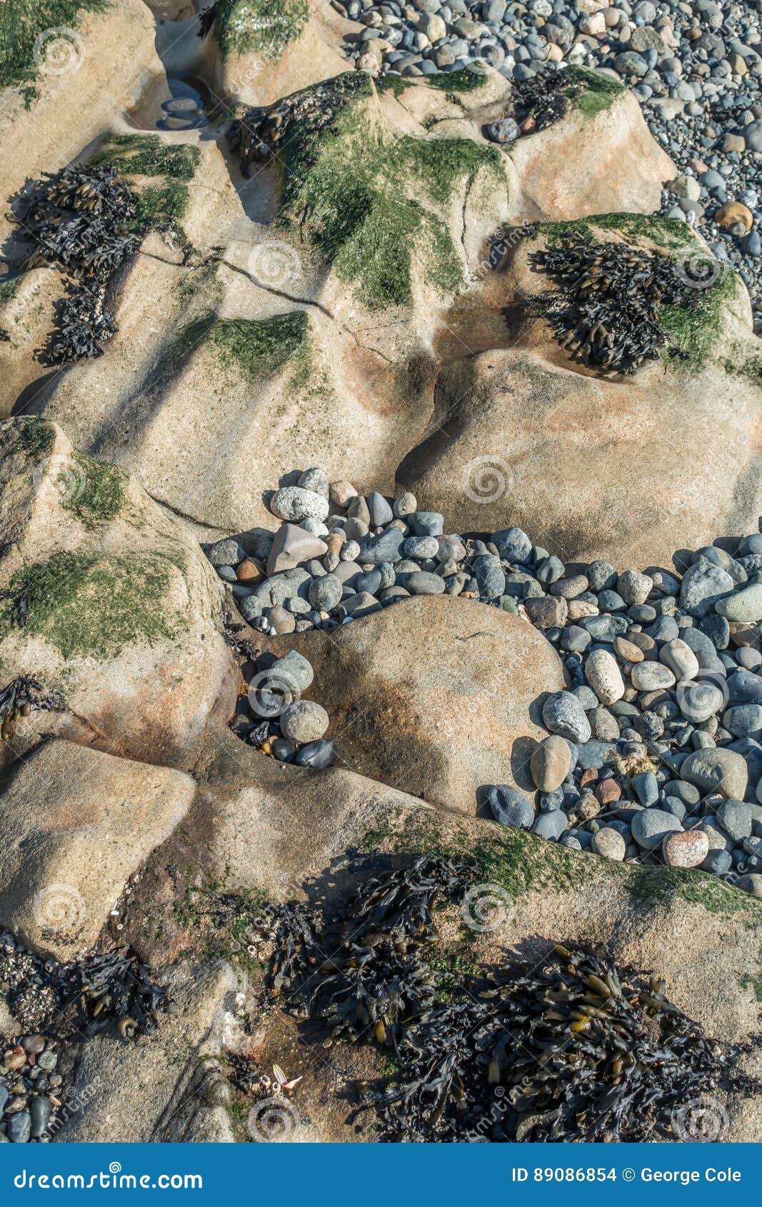 Seabed Rock Formation 3 stock photo. Image of smooth - 89086854