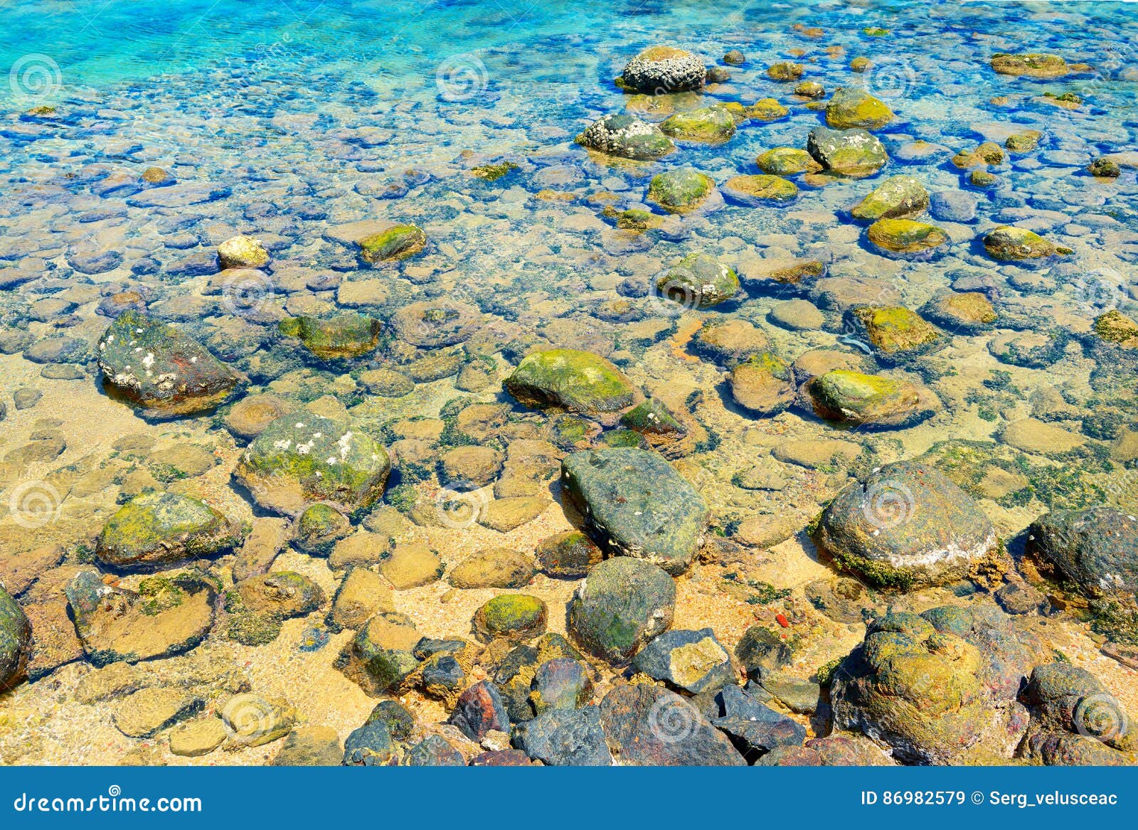Seabed with Rocks and Corals Stock Image - Image of seashore, beautiful ...