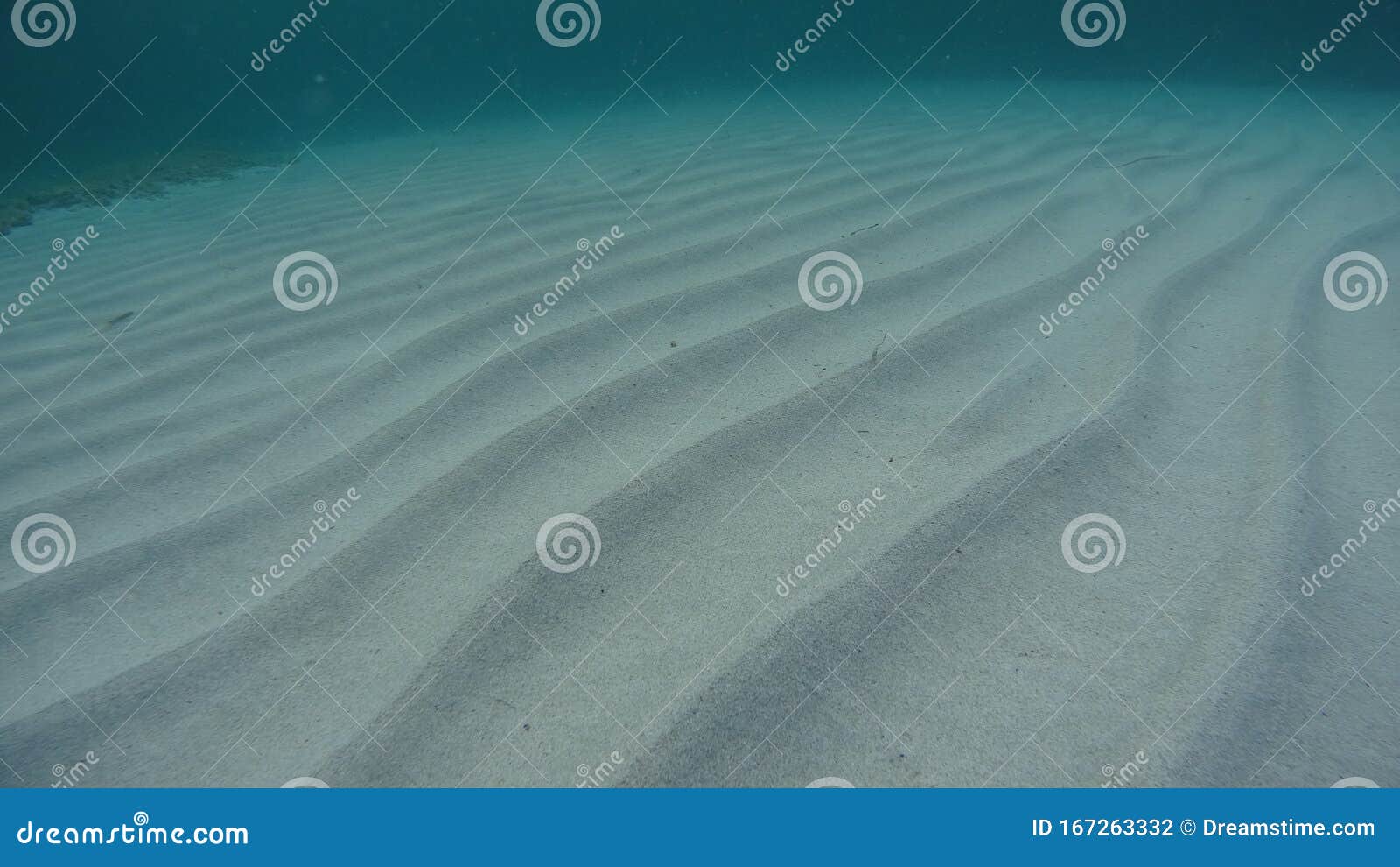 Seabed, Sand with an Incredible Color Stock Photo - Image of bottom ...