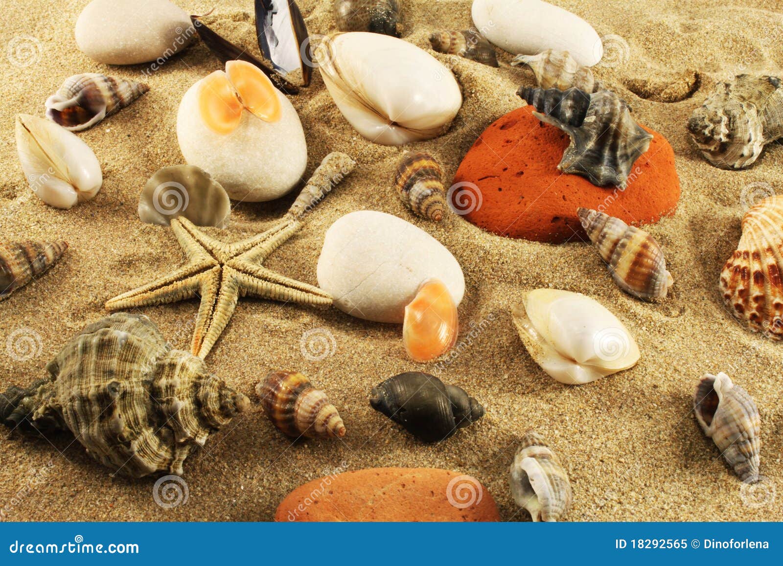Seabed, sand, seashells stock image. Image of sand, abstraction - 18292565