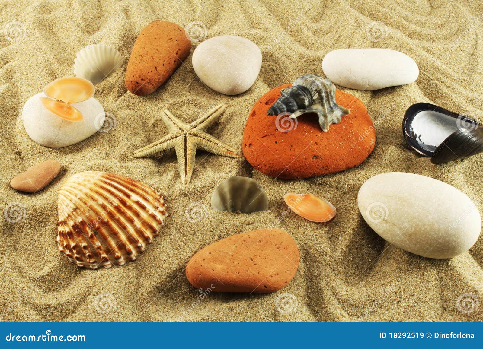 Seabed, Sand, Stones, Seashells Stock Image - Image of seabed ...