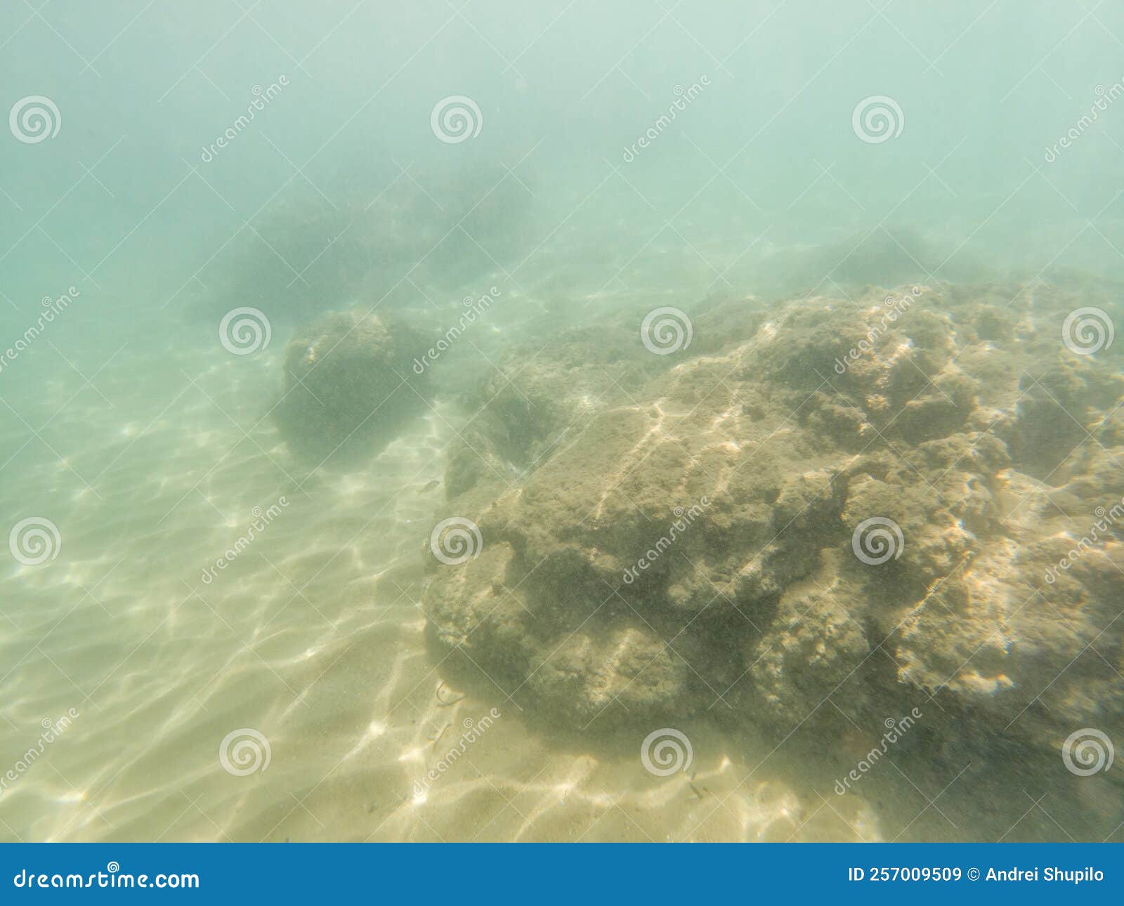 Seabed in Shells on the Rocks. Stock Image - Image of pattern, sand ...