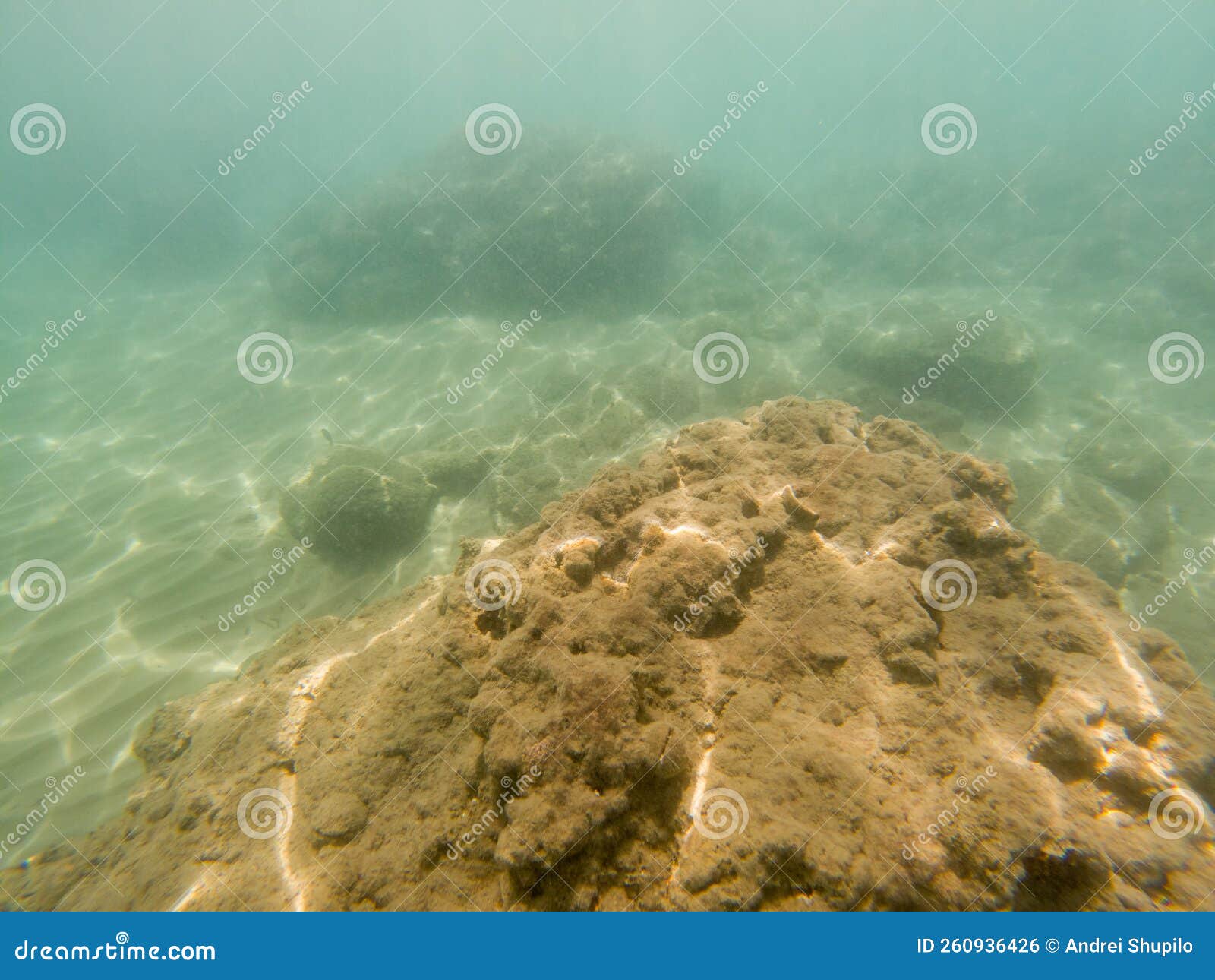 Seabed in Shells on the Rocks. Stock Photo - Image of sand, underwater ...