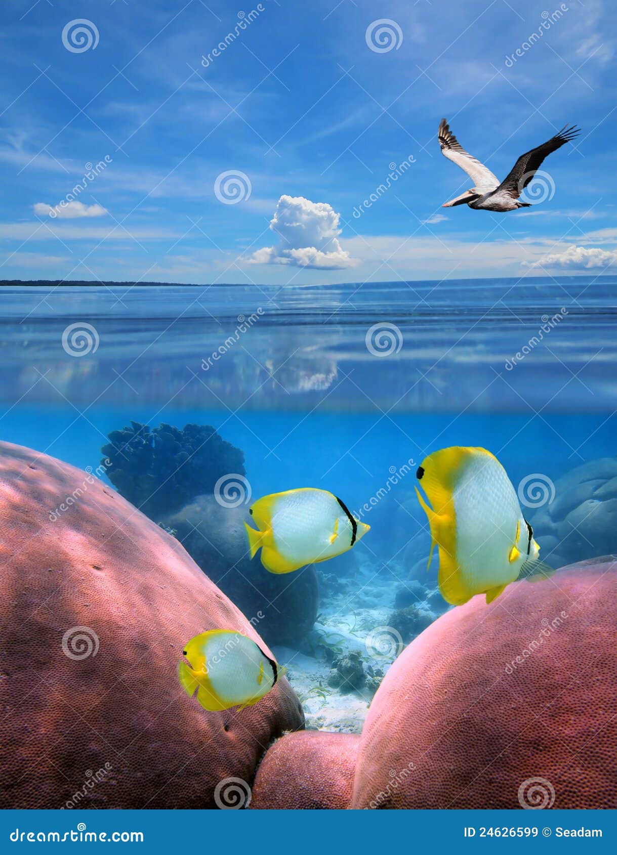 Seabed and sky stock image. Image of cloud, colombia - 24626599