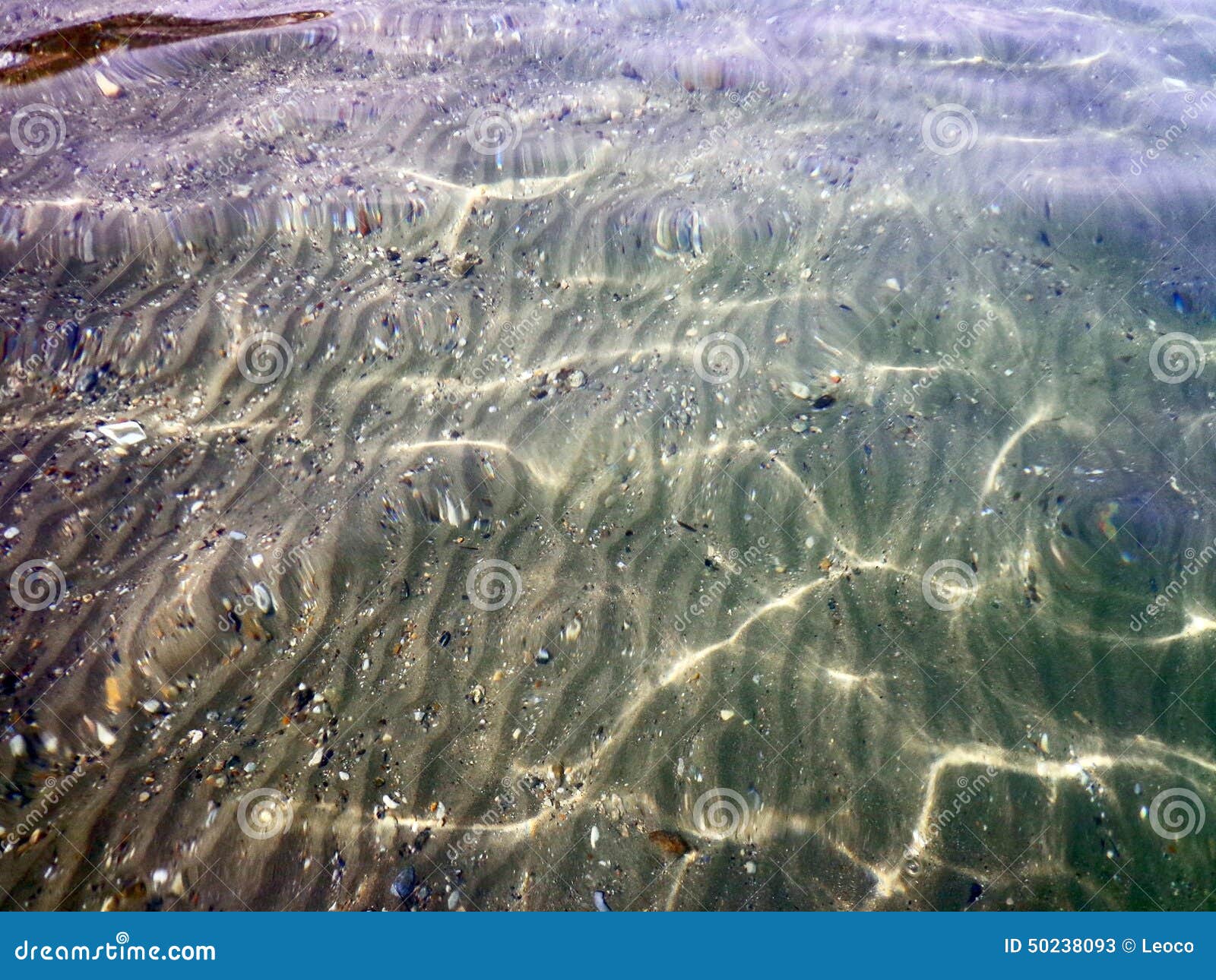 Seabed stock image. Image of reflection, water, shell - 50238093