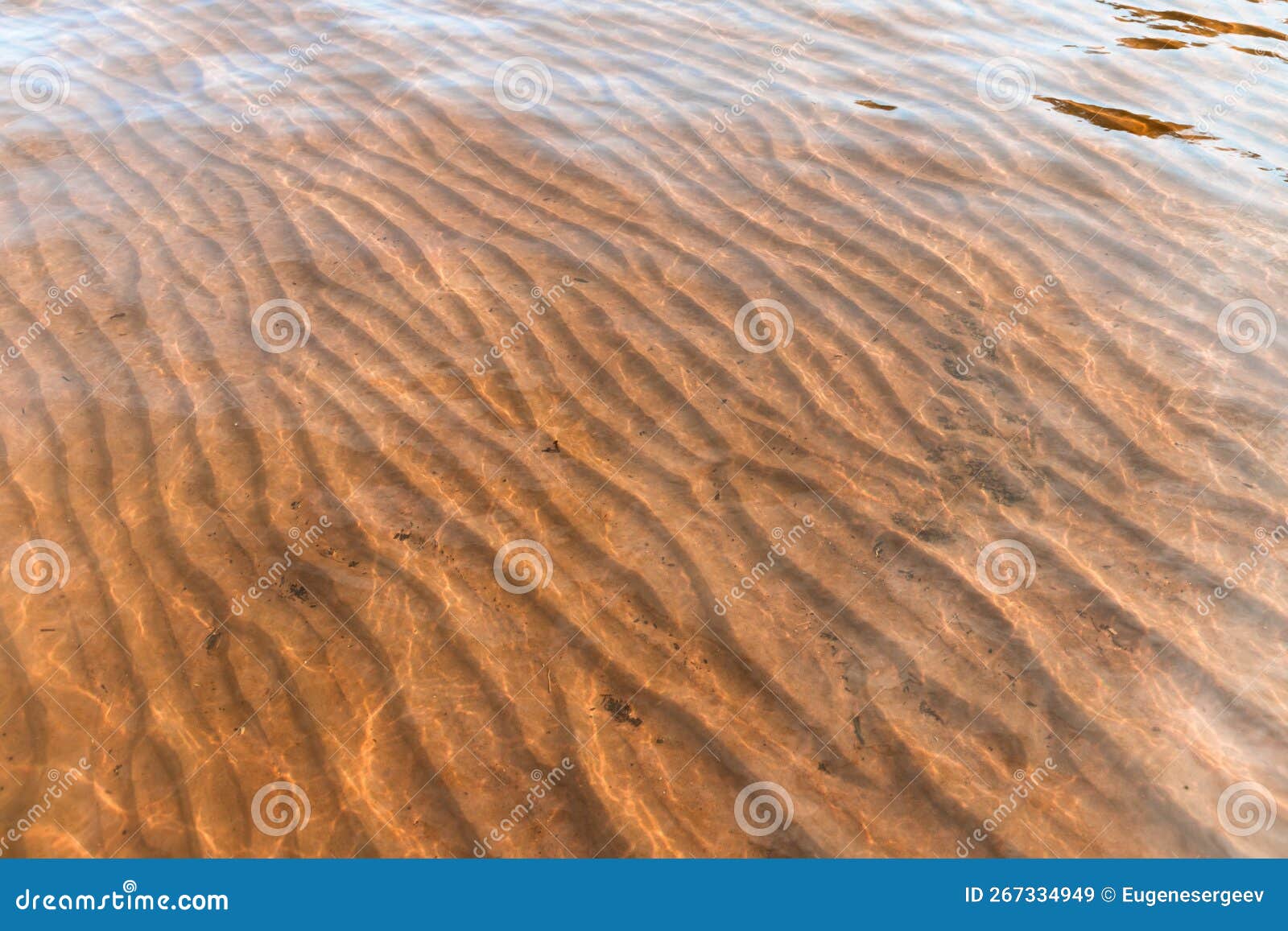Seabed with Wavy Pattern on Sand Under Shallow Water Stock Image ...