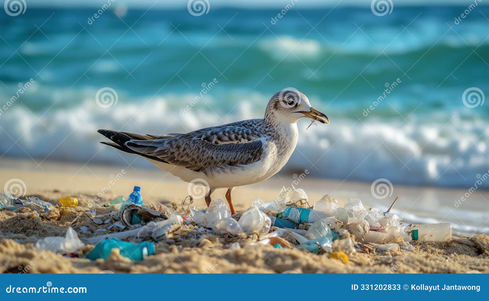 Seabird Struggling with Plastic Waste on a Golden Sand Beach Stock ...