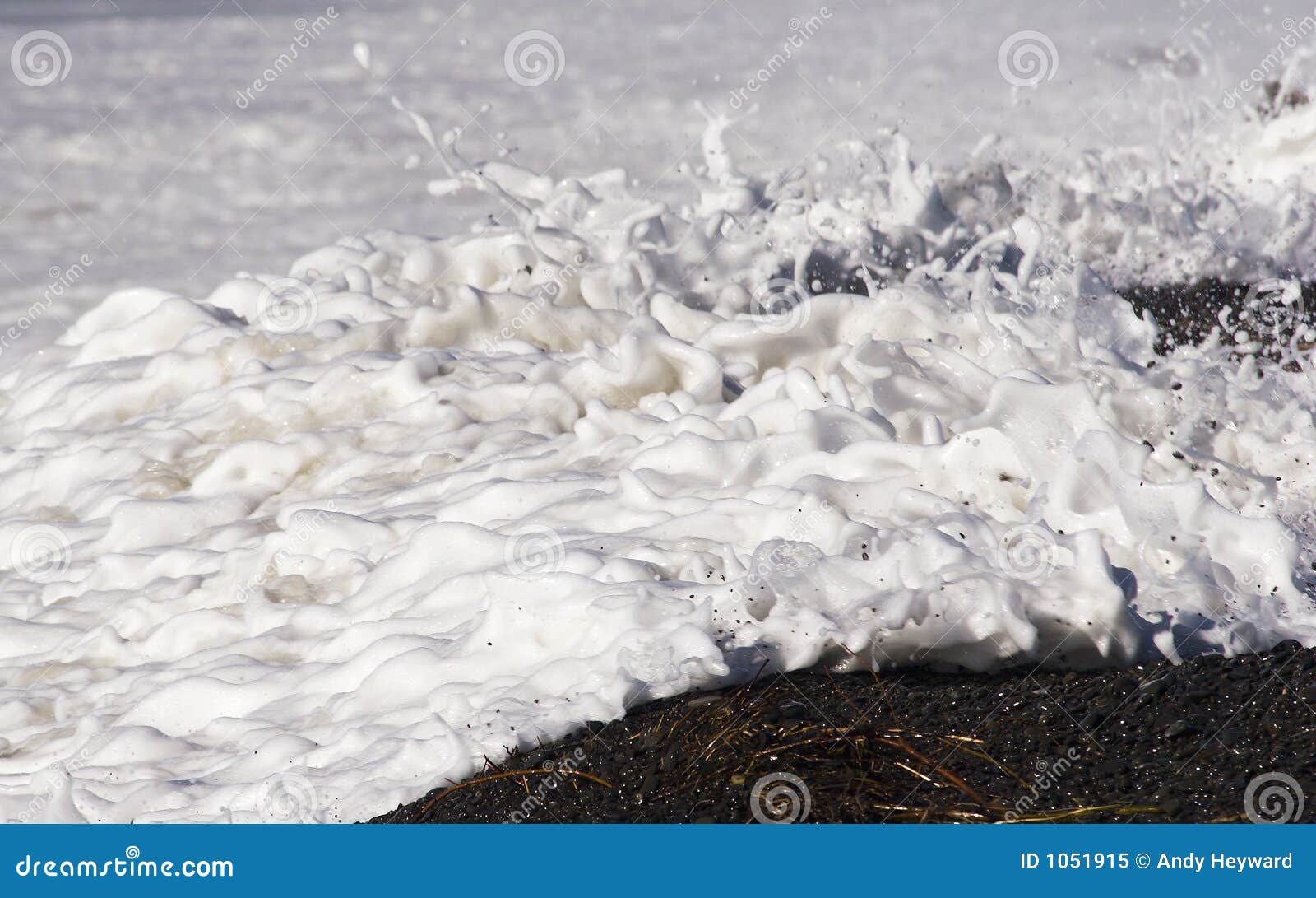 Seafoam 01 stock image. Image of beach, kiwi, saltwater - 1051915