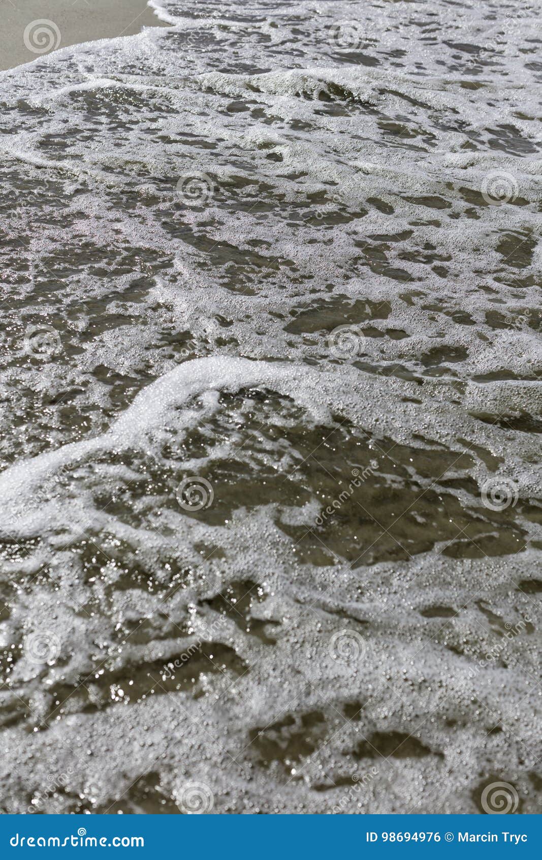 Seafoam on the beach stock photo. Image of seagrass, summer - 98694976