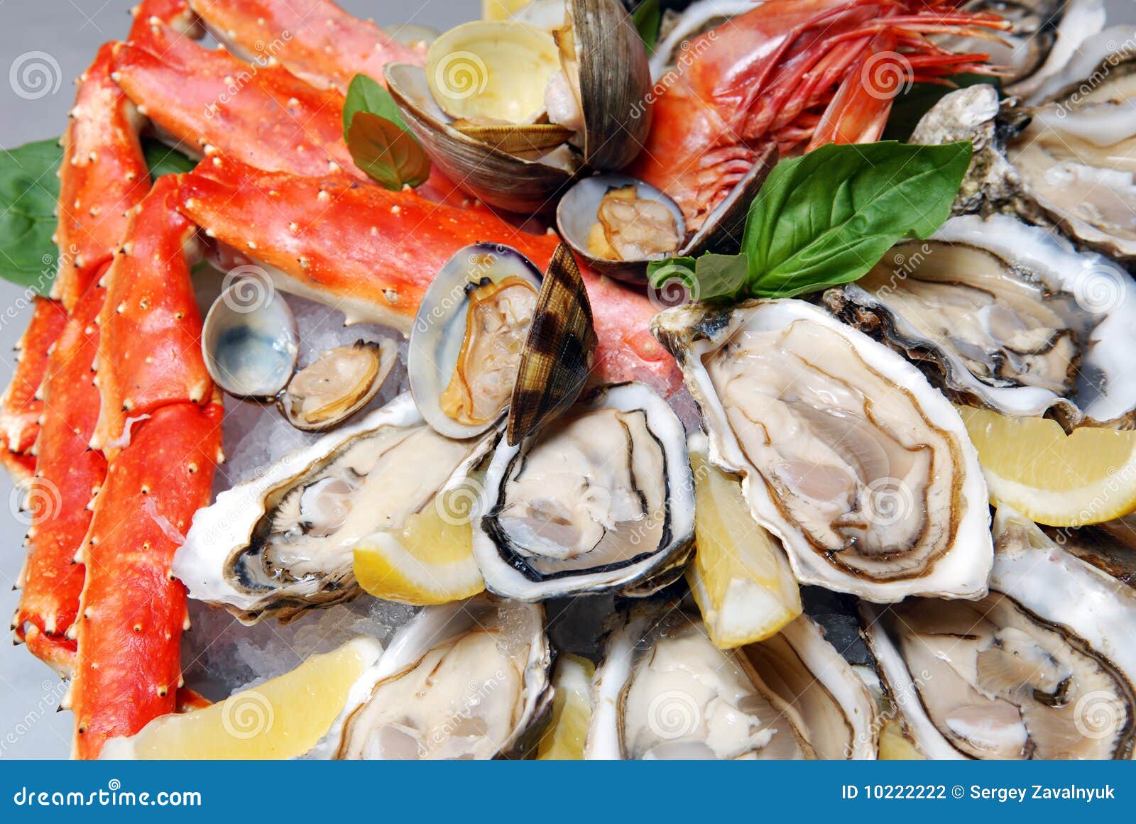 Seafood stock photo. Image of food, white, delicious - 10222222