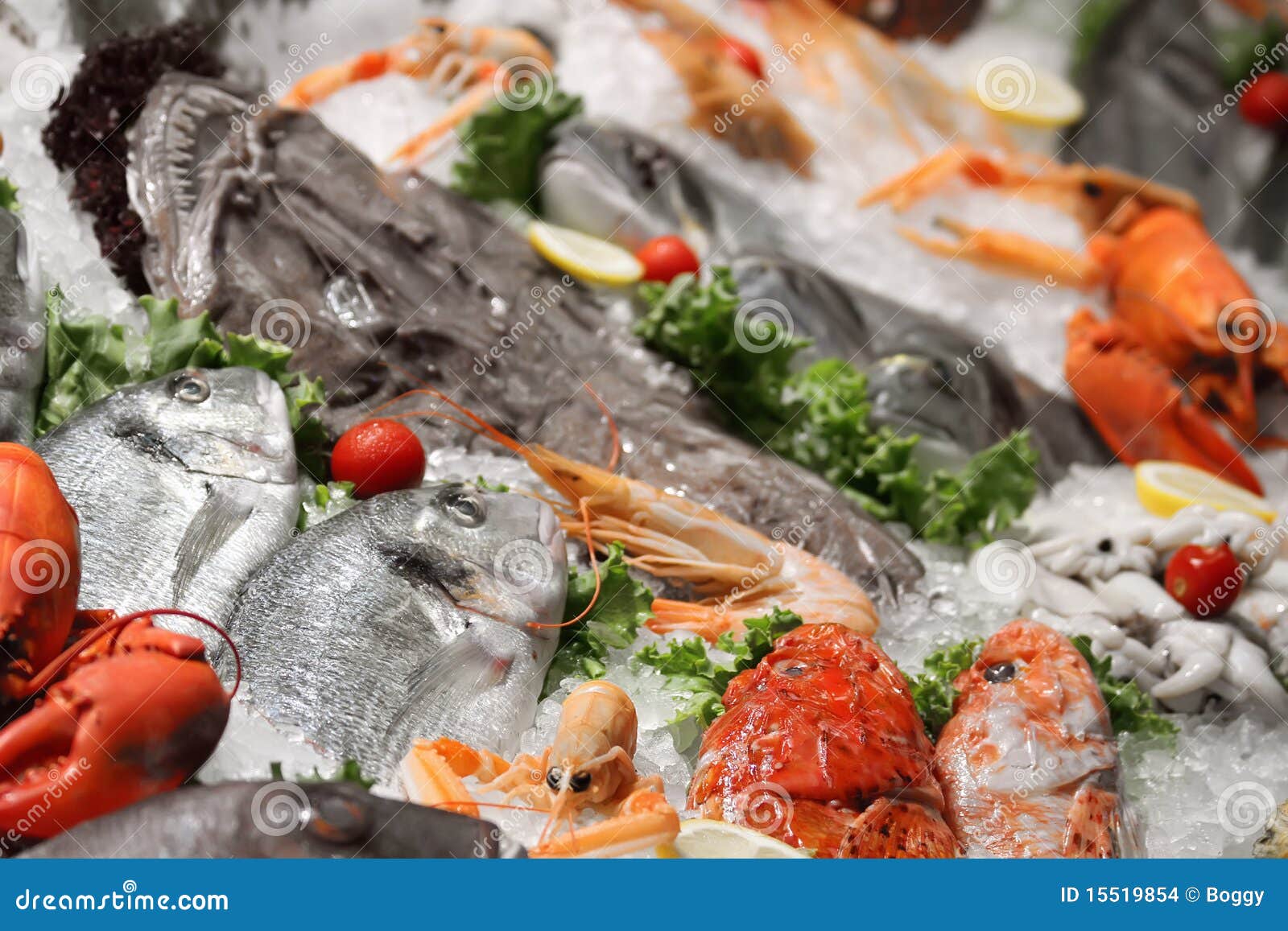 Seafood stock photo. Image of cooling, catch, freshness - 15519854