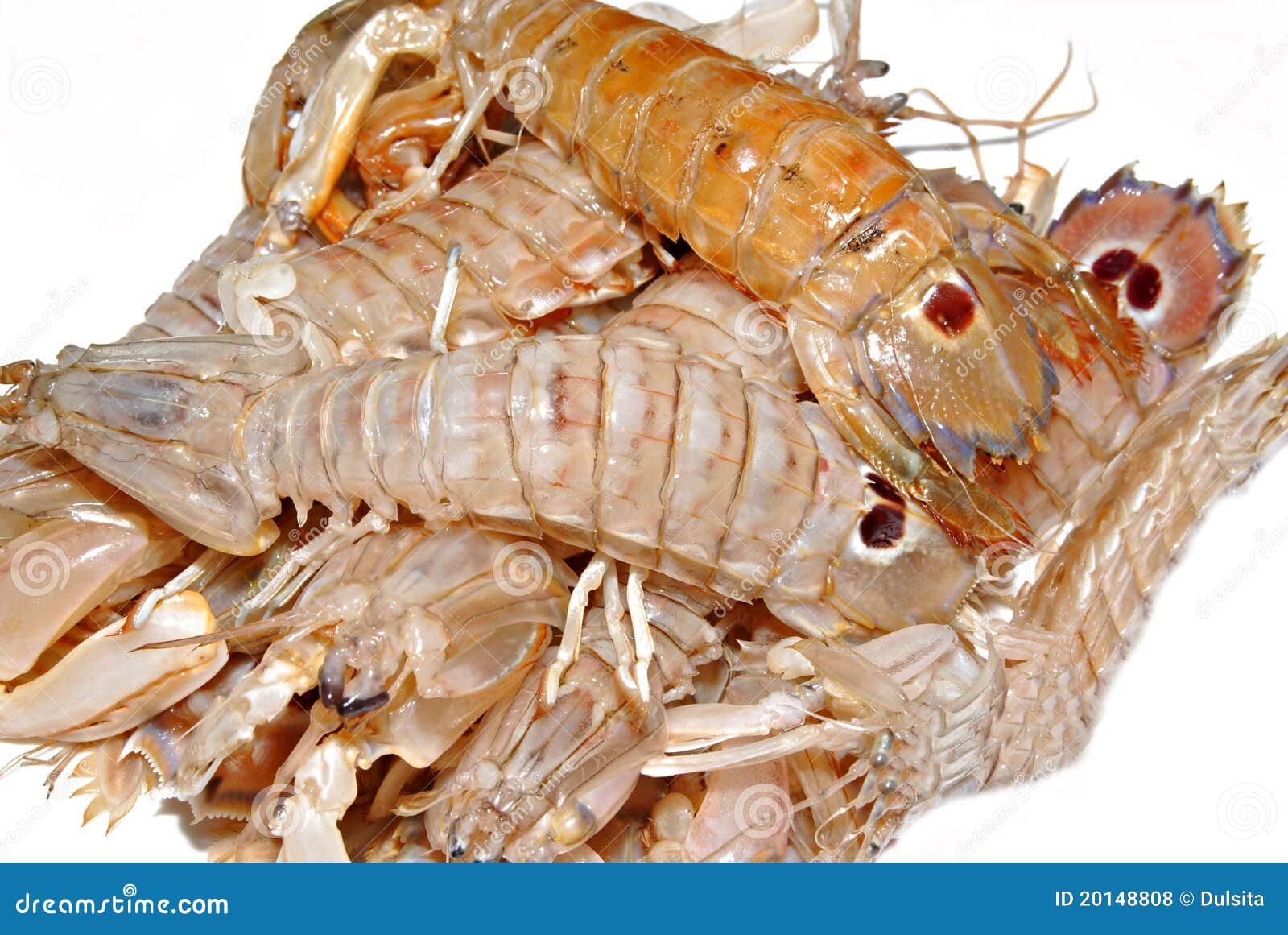 Seafood stock photo. Image of salad, crustacean, nutrition - 20148808