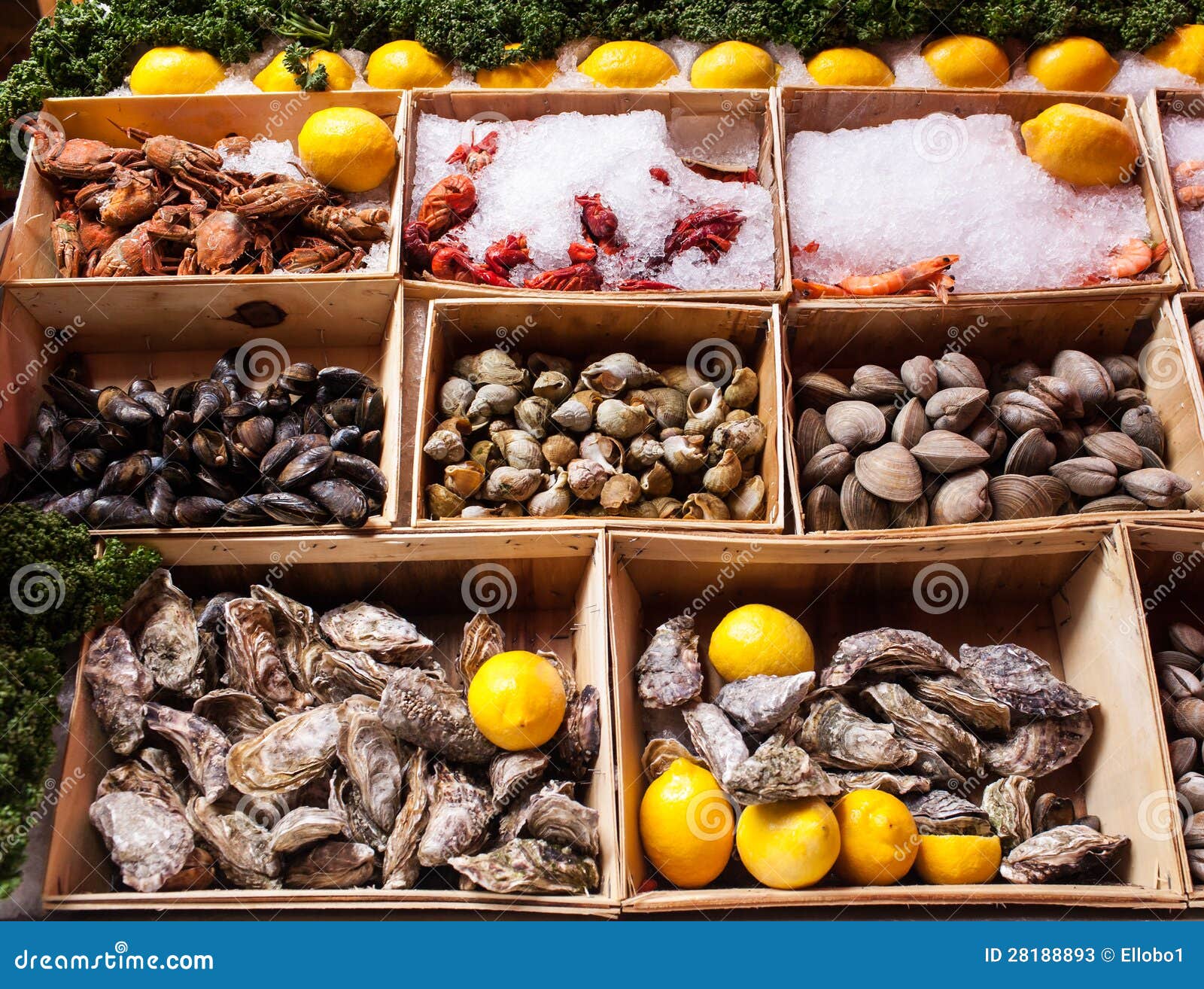 Seafood. stock image. Image of marine, lunch, meal, health - 28188893
