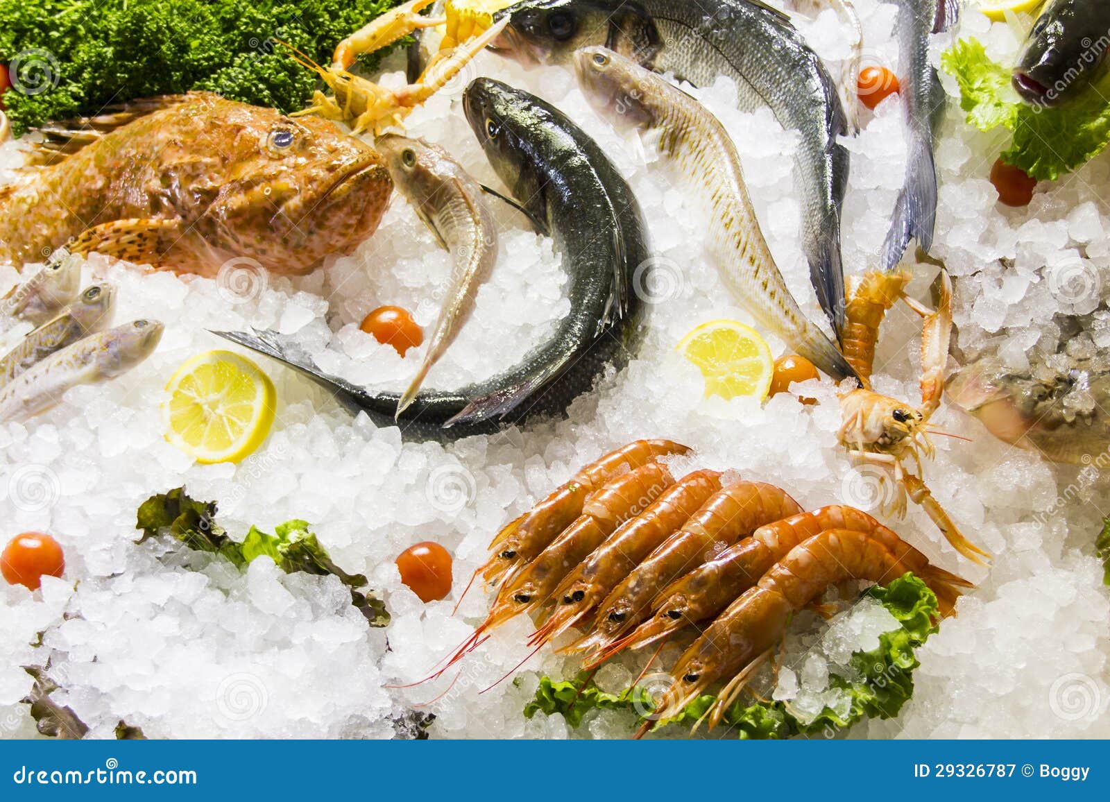 Seafood stock image. Image of dinner, cool, appetizer - 29326787