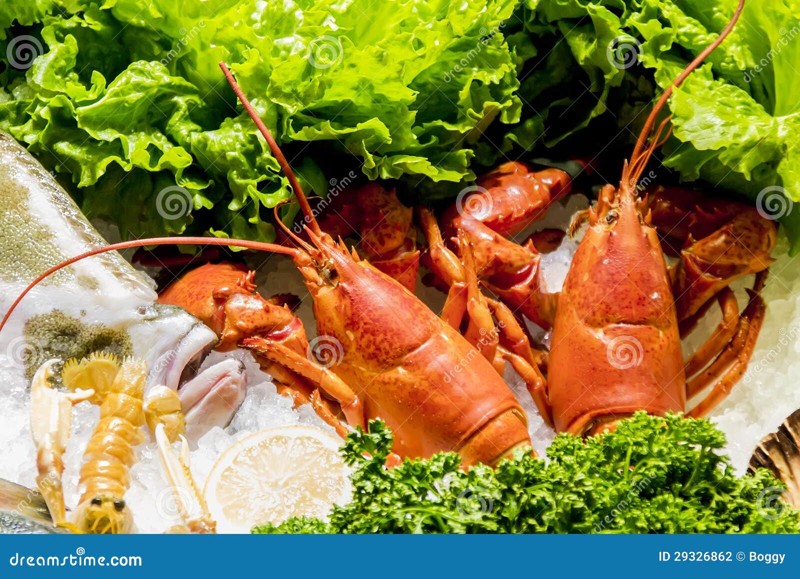 Seafood stock photo. Image of group, industry, catch - 29326862