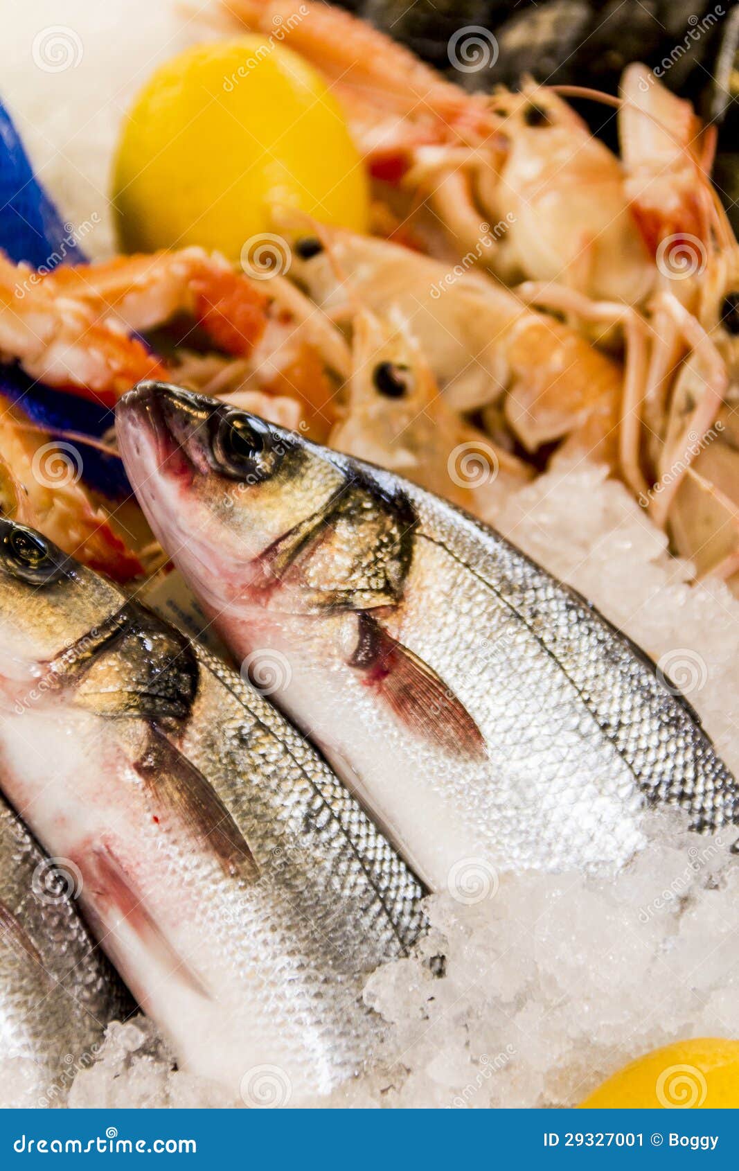 Seafood stock image. Image of gourmet, frozen, fishing - 29327001