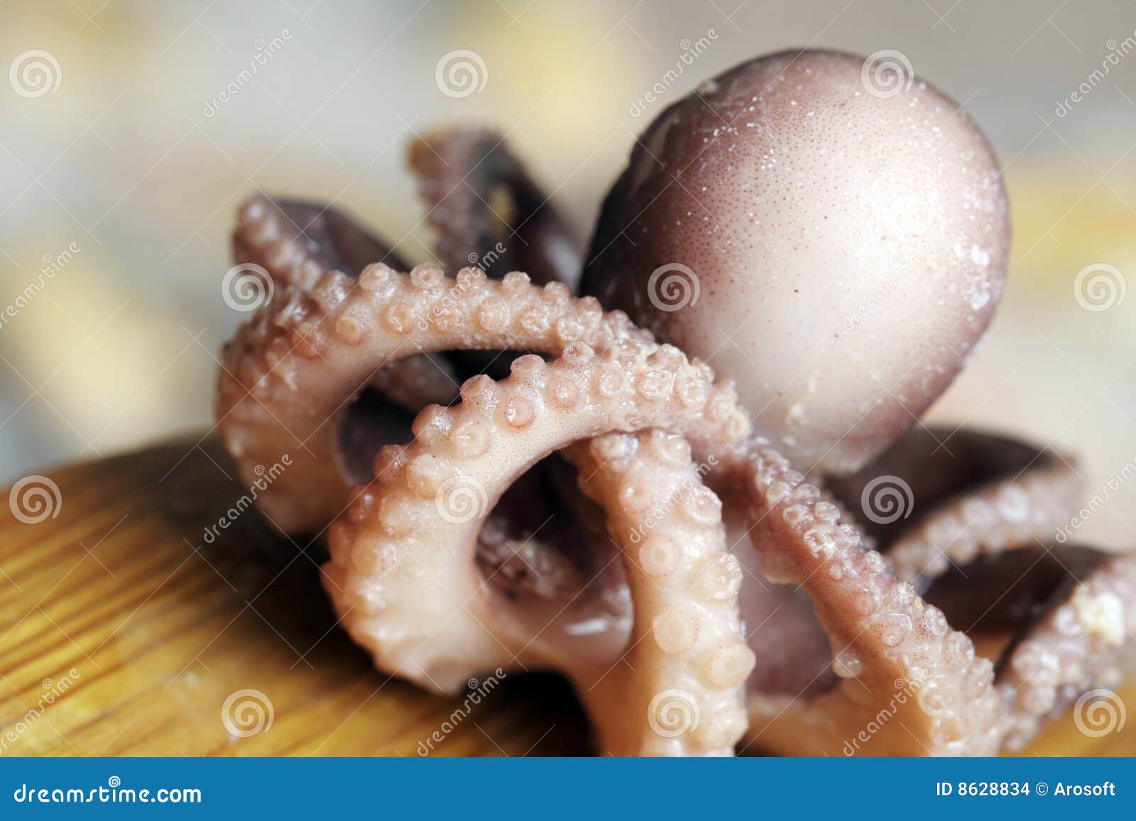 Seafood stock photo. Image of garnish, octopus, ingredient - 8628834