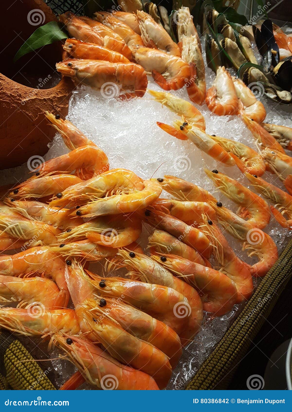 Seafood buffet display stock photo. Image of cooked, prawns - 80386842